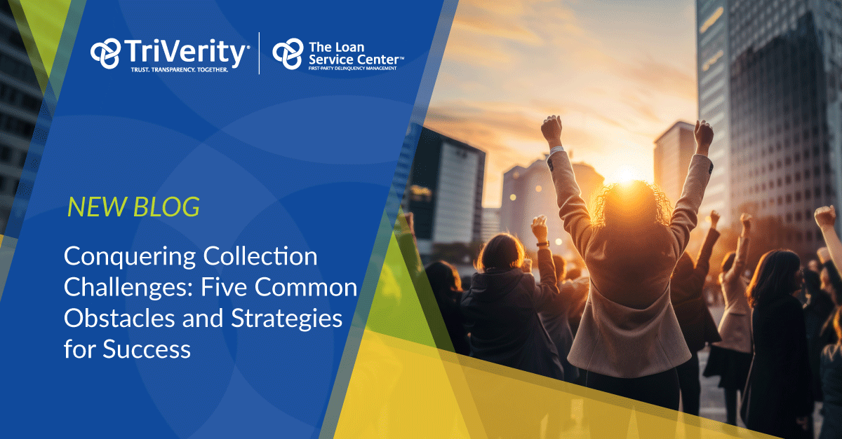 Insights | TriVerity